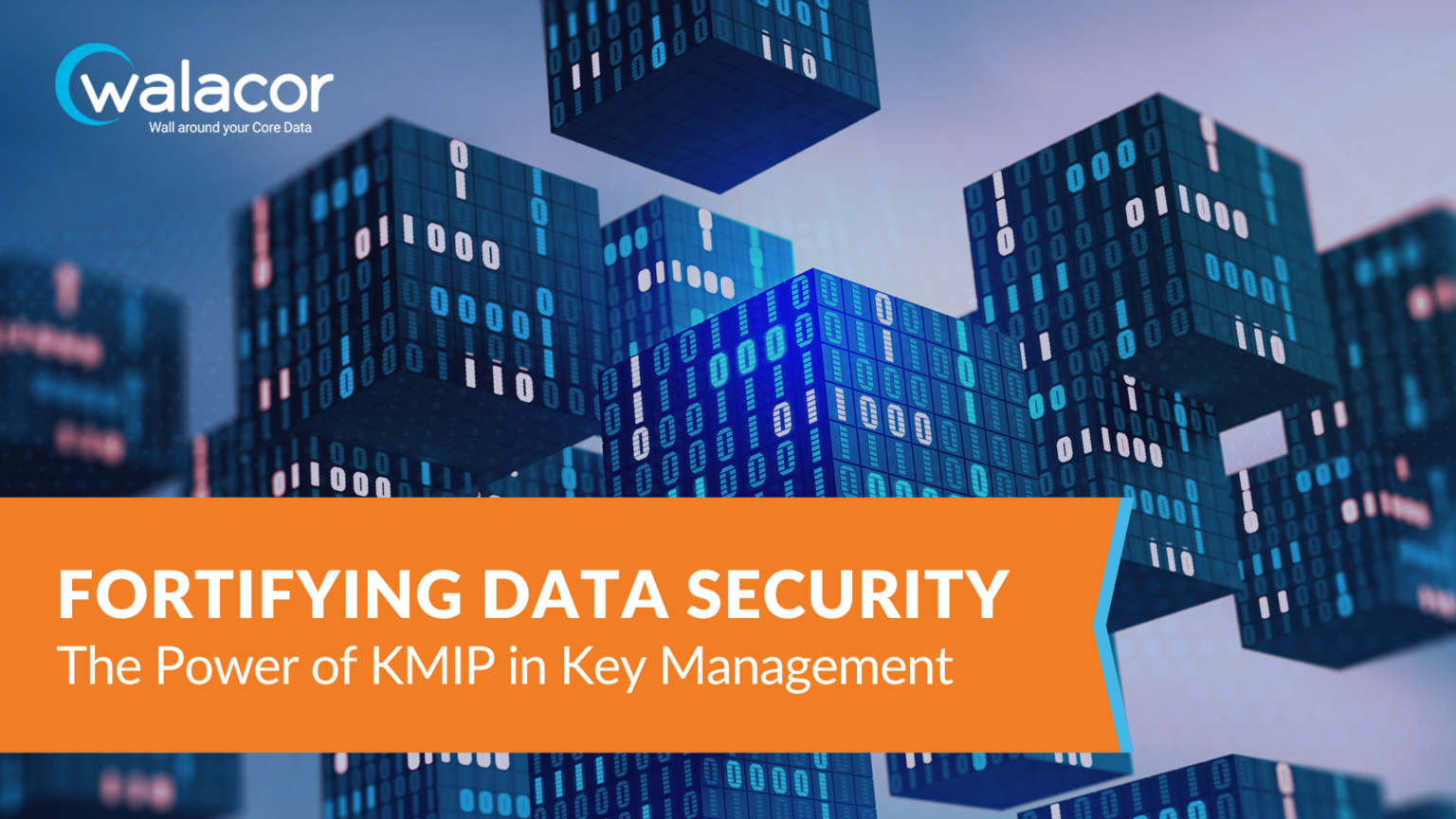 Home - Walacor Corporation